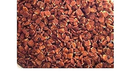 Buy BlackEye Natural Loose Packed Mahua Madhuca Longifolia Illipe Ippa ...