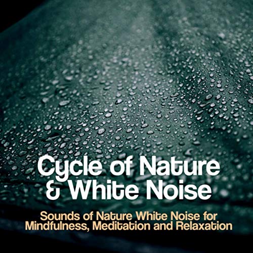 Cycle of Nature & White Noise by Sounds of Nature White Noise for ...