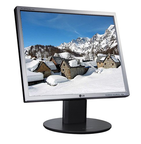 LG Flatron L1951S-SN Liteview 19" LCD Monitor (Silver) : Amazon.in ...