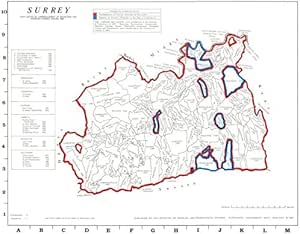 Amazon.com: SURREY: Parishes.Register start date. Ecclesiastical ...