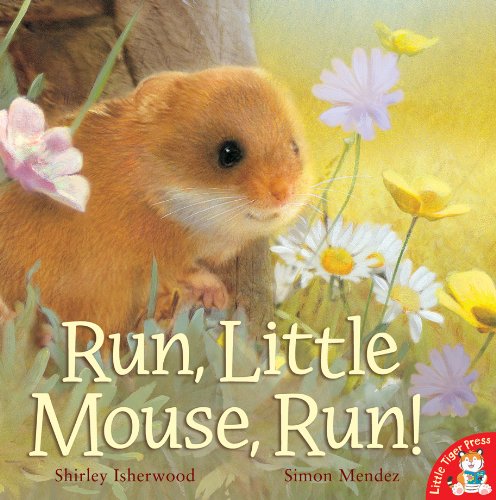 Run, Little Mouse, Run!: Isherwood, Shirley: 9781845066413: Amazon.com ...