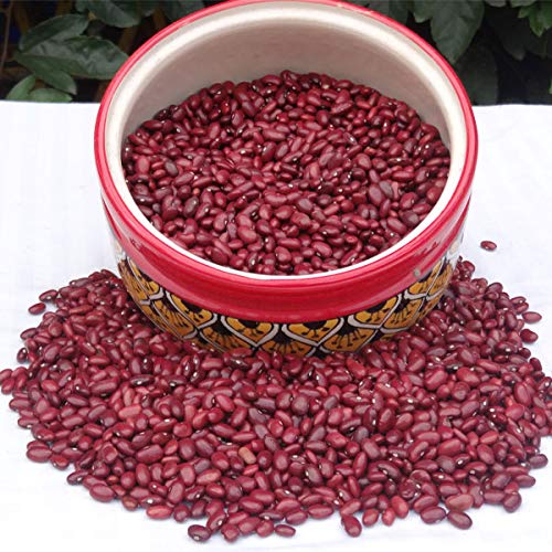 Pahari Himalyan Rajma Dal from Mountains of Uttarakhand - A Special ...