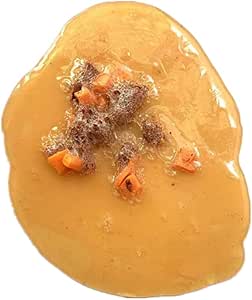 Amazon.com: ZHR Realistic Vomit Prop, Rubber Fake Prank Vomit Model ...