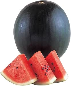 Amazon.co.jp: ITANSE Watermelon Seedlings, Black Skin Jumbo Watermelon Tahiti, Grafted Seedlings ...