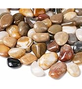 Amazon.com : Rahato 2.5 lbs Small Rocks for Plants, 1/5 Inch Gravel for ...