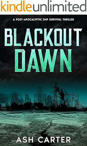 Amazon.com: Powerless Winter: A Post Apocalyptic EMP Thriller (Surviving the EMP Book 5) eBook ...