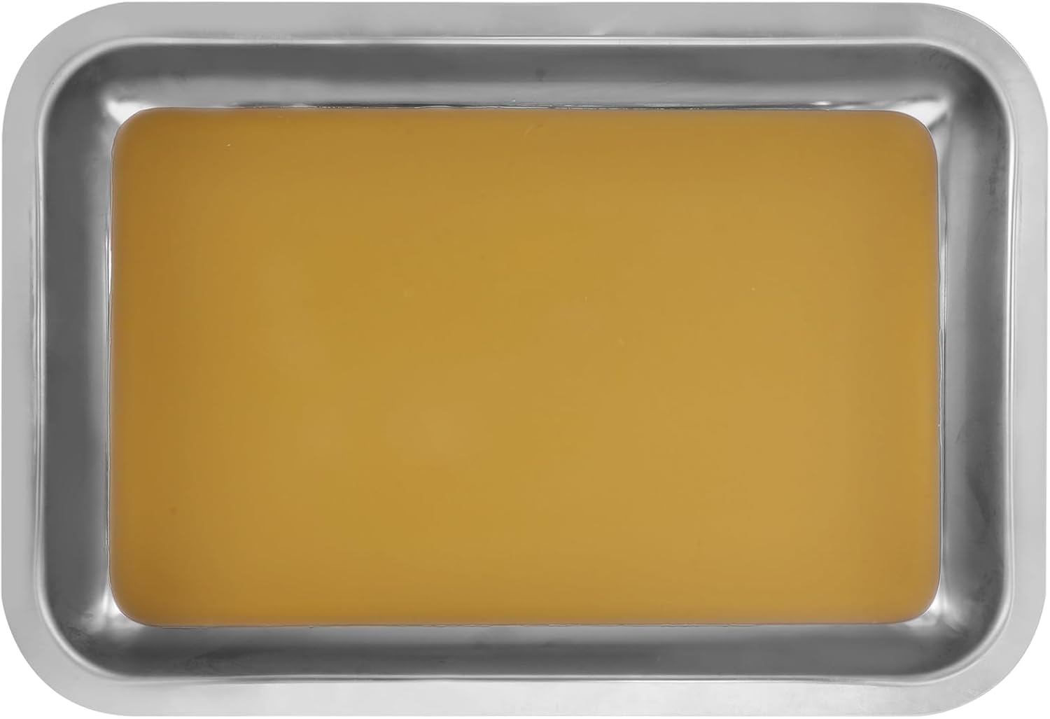 Amazon.com: Hemoton Stainless Steel Dissection Tray A4 Anatomical Disc ...