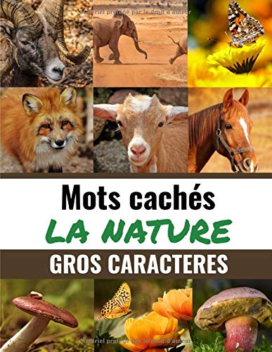 Buy Mots Cachés La Nature: Mots mêlés Adultes Gros Caractères (avec ...