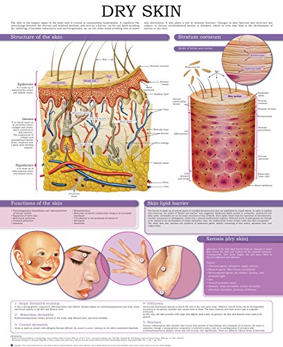 Dry Skin Foods Chart