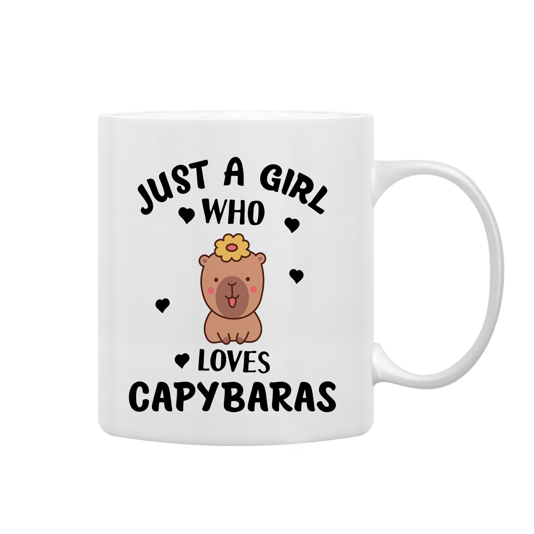Amazon.com | QASHWEY Capybara Mug, Capybara Gifts for Girls Women, Cute ...