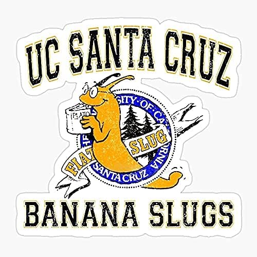 Amazon.com - Cali Tarantino Banana Uc Cruz Slugs UCSC Pulp Santa ...