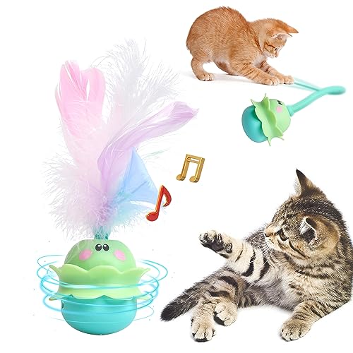 Monster Cat – The 15 best products compared - Wild Explained