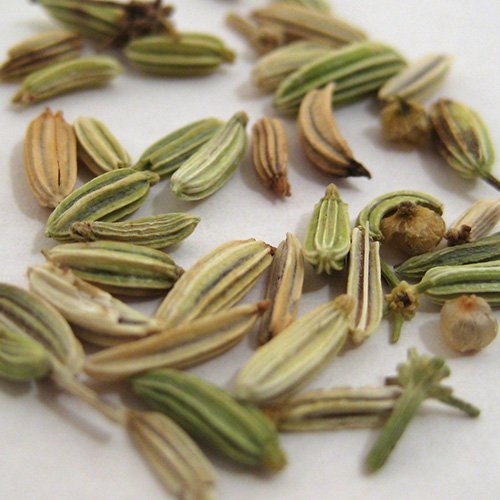 Amazon.com: 041 fennel (Fennel) glass tube package 14g entering