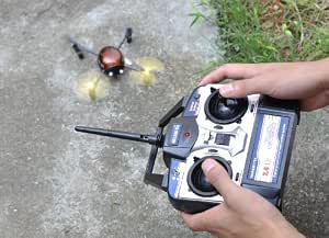 Amazon.com: RC Quad Copter "Ladybird" - 2.4GHz, 4 Channels, Gyro, 50m ...