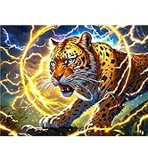 Amazon.com: SANYUN Hawk Diamond Art Kits for Adults &Beginner, Animals ...