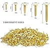 Paper Fasteners - Reastar 500PCS Scrapbooking Brads Split Pins, Assorted Sizes Round Brass ...