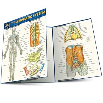 Buy Anatomy of the Lymphatic System: A Quickstudy Laminated Reference Guide Book Online at Low ...