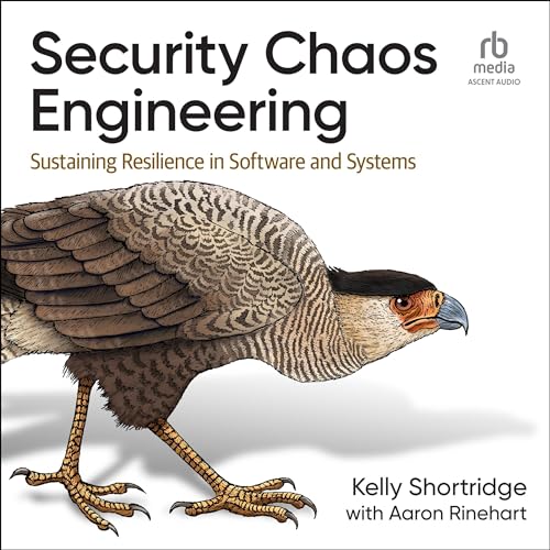 Amazon.com: Security Chaos Engineering: Sustaining Resilience in Software and Systems (Audible ...