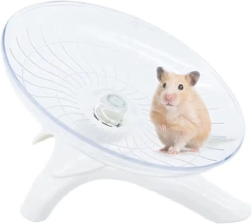 The Fascinating Explanation Behind A Hamster's Running On A Wheel | PetShun