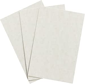 Amazon.com: Storm Parchment Cardstock – Multipurpose Parchment Card ...