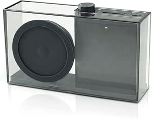 Amazon.com: Lexon Flow Radio Grey : Electronics