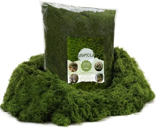 Amazon.com: USMOLA 1.5LB Bulk Moss for Decorating - Fake Moss for ...
