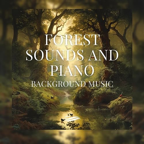 Écouter Forest Sounds and Piano Background Music par Re-Relaxation sur ...