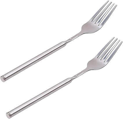 Amazon.com: 2PCS Stainless Steel Telescopic Long Handle Fork, BBQ ...