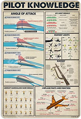 Amazon.com : NEGLAI Pilot Knowledge Metal Signs Poster, Vintage ...