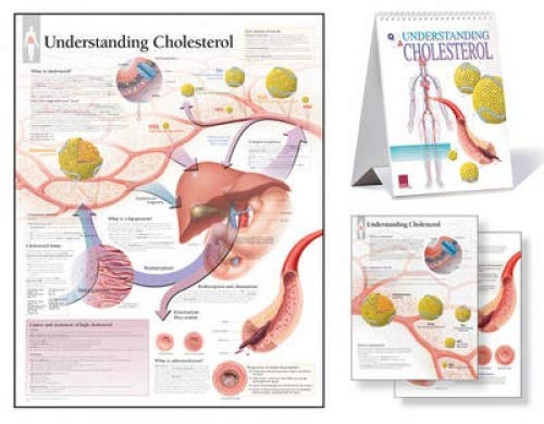 Understanding Cholesterol Study Set (Patient Education Study Sets ...