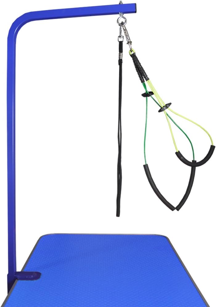 Amazon.com : Downtown Pet Supply Dog Grooming Arm with Clamp and ...