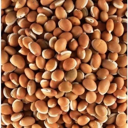 Mochai Kottai / Organic Brown Lima Bean / Bellar Dal / Brown Mochai ...