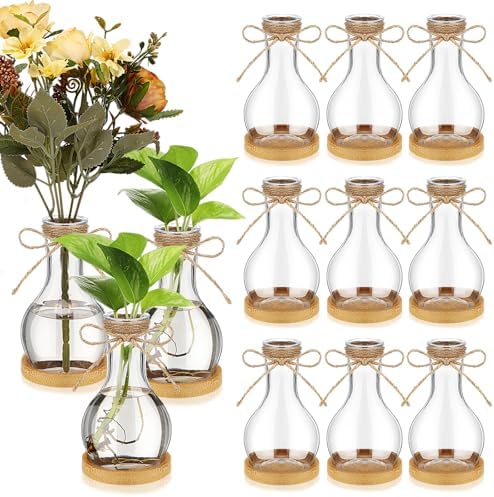 Amazon.com: Baderke 12 Pack Small Plastic Bub Vases for Centerpieces ...