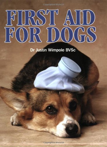 First Aid for Dogs: What to Do Before You Take Your Sick Dog to the Vet ...