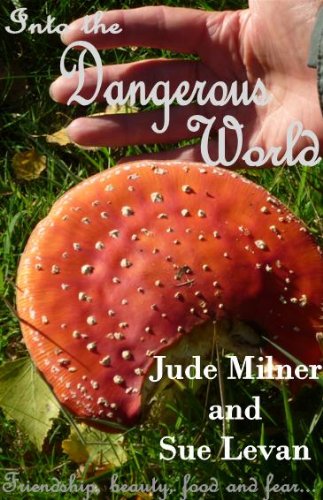 Amazon.com: Into the Dangerous World eBook : Levan, Sue, Milner, Jude ...