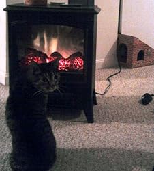 Amazon.com: Dimplex CS1205 Compact Electric Stove : Home & Kitchen