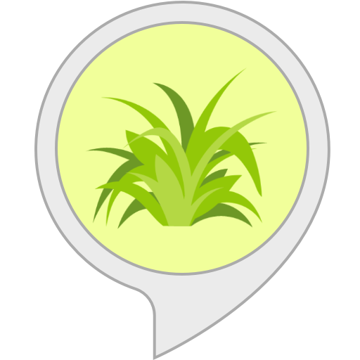 Amazon.in: Lawn sound : Alexa Skills