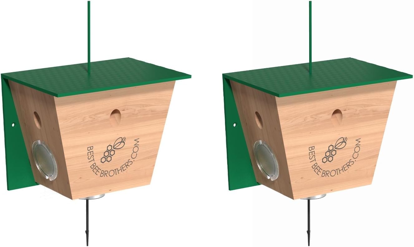 Amazon.com : RESCUE! TrapStik for Wasps, Mud Daubers, Carpenter Bees ...