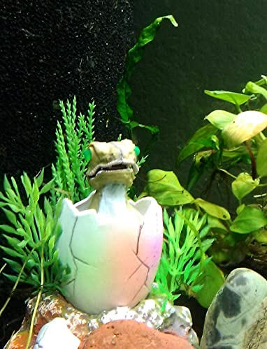 5 Prehistoric Dinosaur Aquarium Decor Ideas You Can Copy! | TFCG