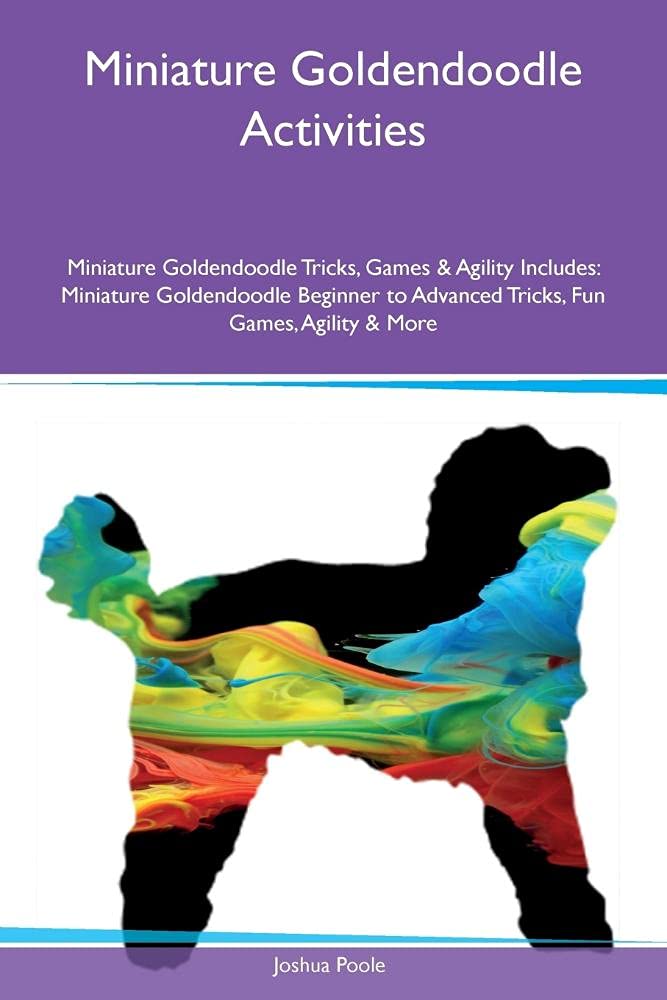 Miniature Goldendoodle Activities Miniature Goldendoodle Tricks, Games ...
