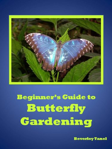 Beginner's Guide to Butterfly Gardening: How to Attract Butterflies to ...