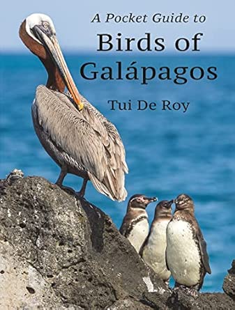 A Pocket Guide to Birds of Galápagos: De Roy, Tui: 9780691233635 ...