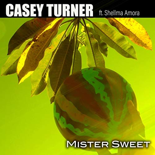 Mister Sweet (feat. Shellma Amora) by Casey Turner feat. Shellma Amora on Prime Music