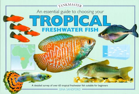 An Essential Guide to Choosing Your Tropical Freshwater Fish ...