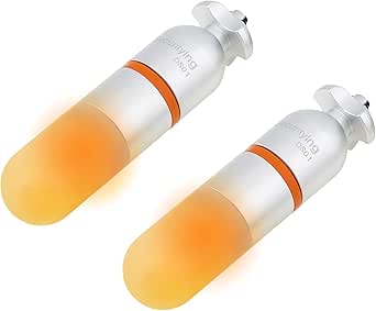 SecurityIng 2Pcs Scuba Dive Strobe Signal Light, Mini Tank Light Night ...