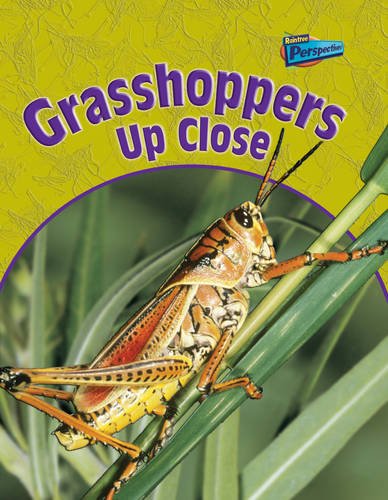 Grasshoppers Up Close (Minibeasts Up Close): Pyers, Greg: 9781844438044 ...