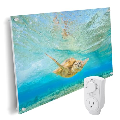 Top 10 Best Econo Heat Panel Heater : Reviews & Buying Guide - Katynel