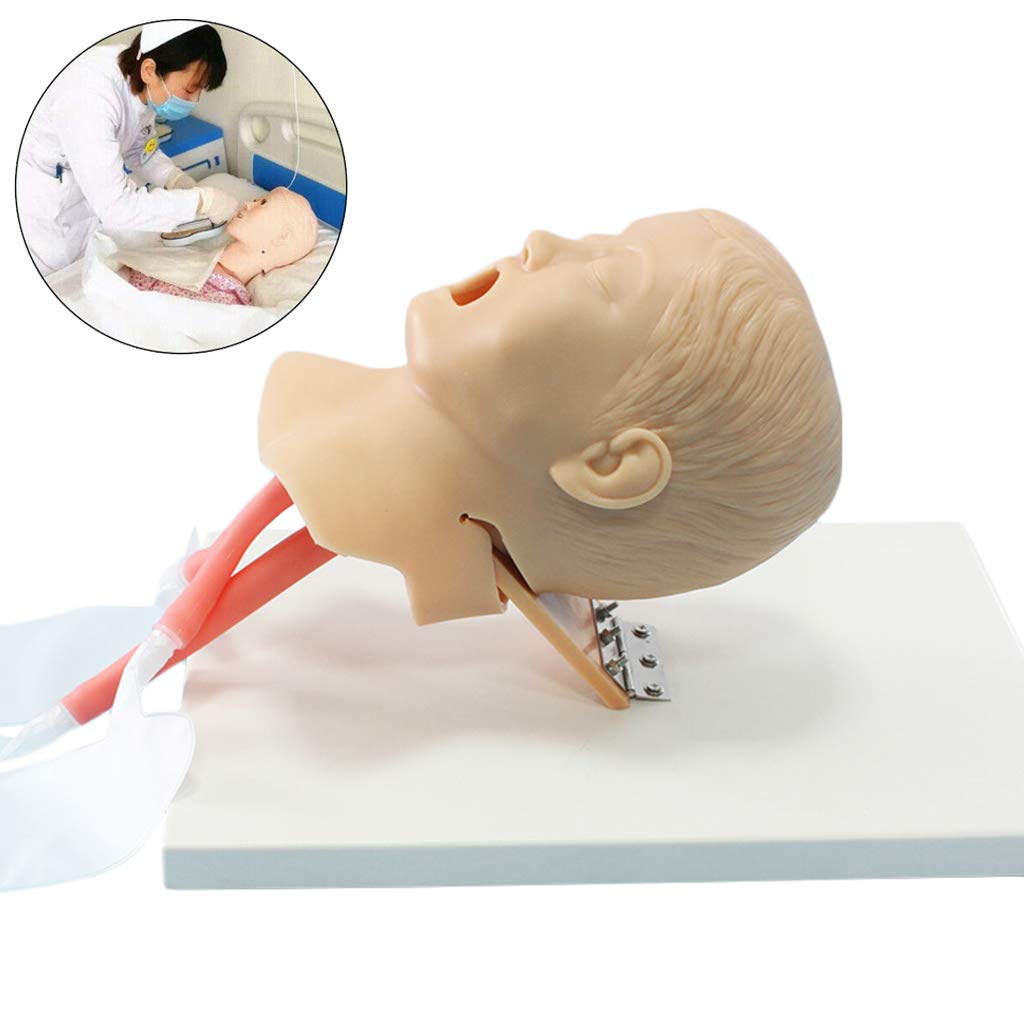 Buy LUCKFY Intubation Model - Manikin Oral Nasal Airway Management ...