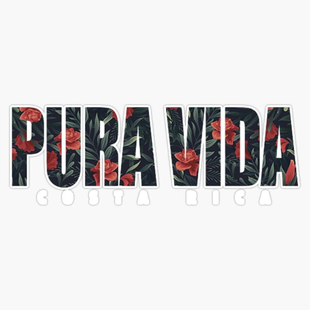Amazon.com: Pura Vida Sun Waves Surf Vinyl Waterproof Sticker Decal Car ...