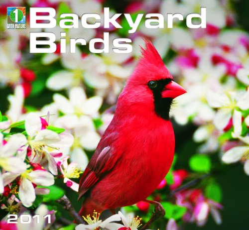 2011 Backyard Birds Calendar: Zebra Publishing Corp.: 9781554563517 ...